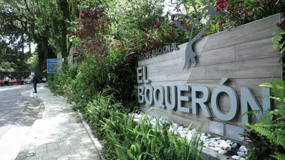 Visita Parque Nacional el Boquerón: Guía completa para un día ...