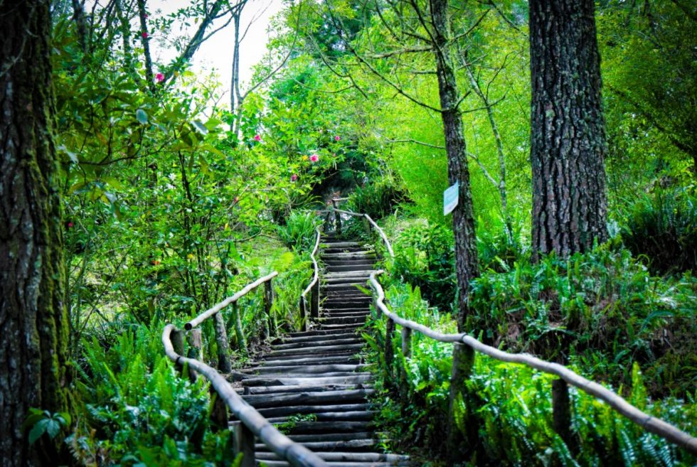 Visita Parque Nacional el Boquerón: Guía completa para un día ...